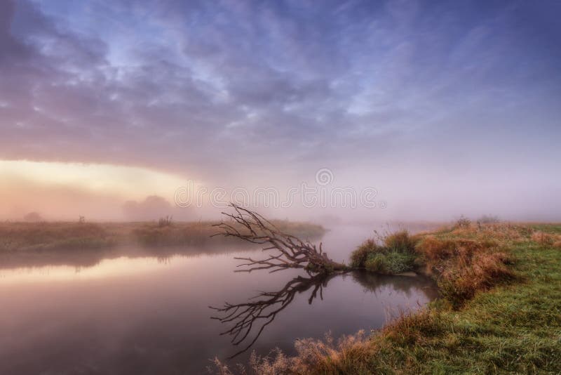 September on the River Neman Stock Image - Image of neman, coast: 58891193