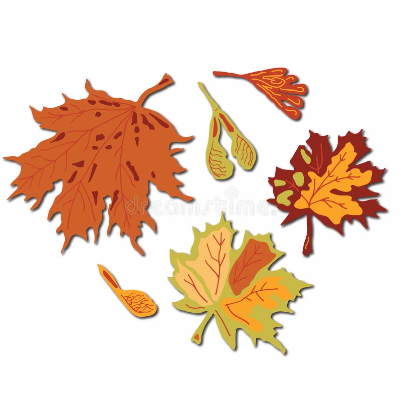 September Set of Autumn Maple Leaves Stock Illustration - Illustration ...