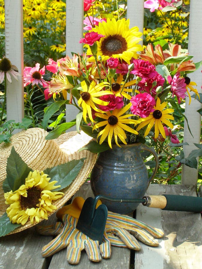Background Still Life Flower Sunflower Wooden White Vintage Stock Photo ...
