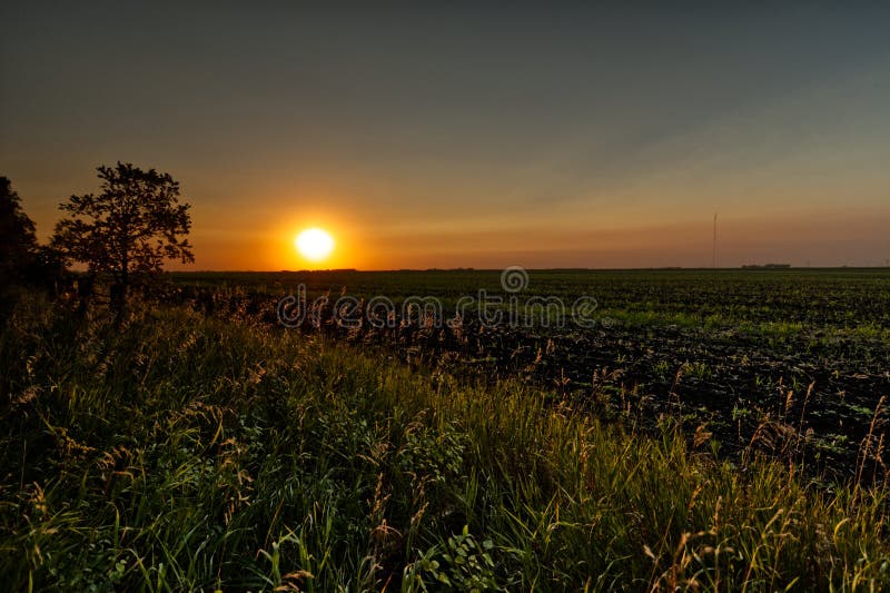 Harvest sunset in Manitoba stock image. Image of nature - 237958305
