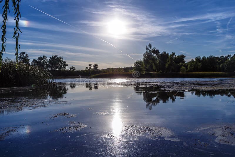 September in sunlight stock image. Image of outdoor - 229074655
