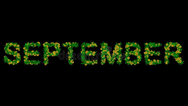 September Text with Green Leaves and Yellow Daisy Flowers on Plain ...