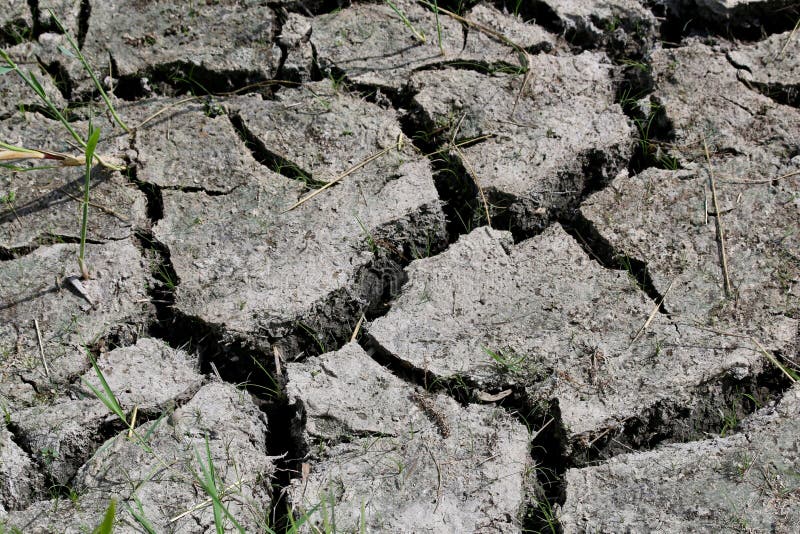 29,283 Sequedad Fotos - Libres de Derechos y Gratuitas de Dreamstime