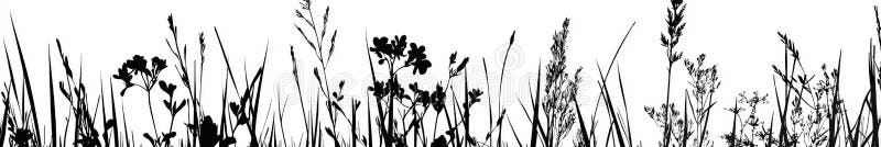 A Sequence of Dark Grass Forms. a Border of Grass. an Expansive View of ...