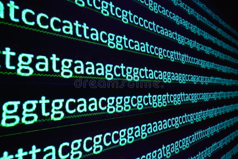 Human Dna Sequence Example
