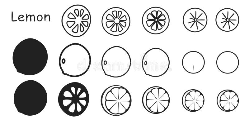 Lemon Drawing Stages Guide on Transparent Background Stock Vector ...