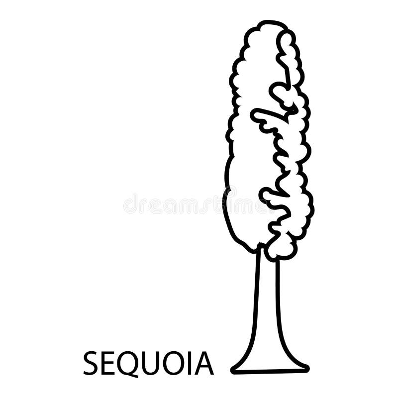 Tree Sequoia Logo Vector Illustration Stock Illustrations – 44 Tree ...