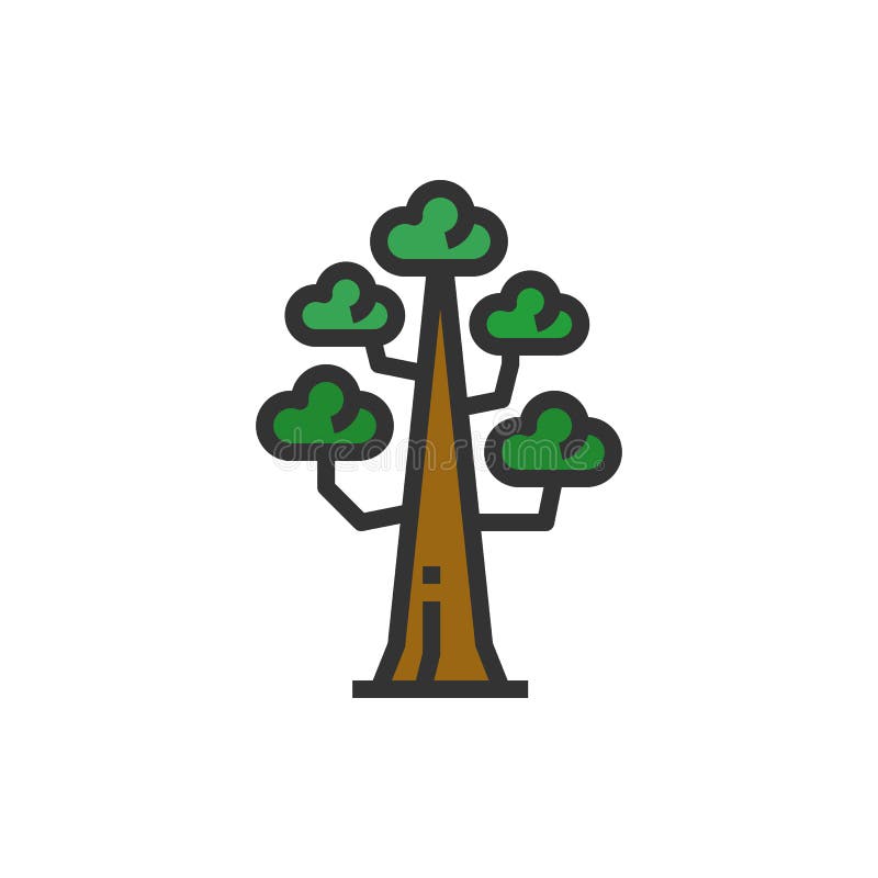 Sequoia icon, flat style stock vector. Illustration of forest - 107140806