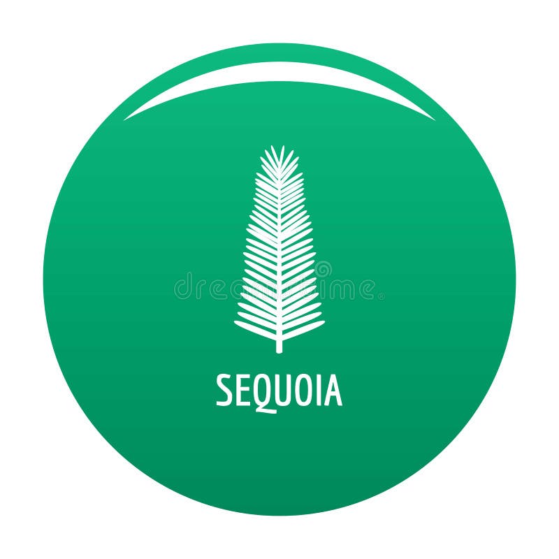 Sequoia Leaf Icon Vector Green Stock Vector - Illustration of garden ...