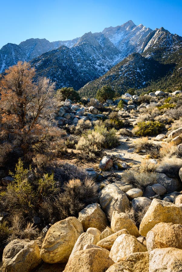Sequoia National Park stock photo. Image of forest, hills - 65041994