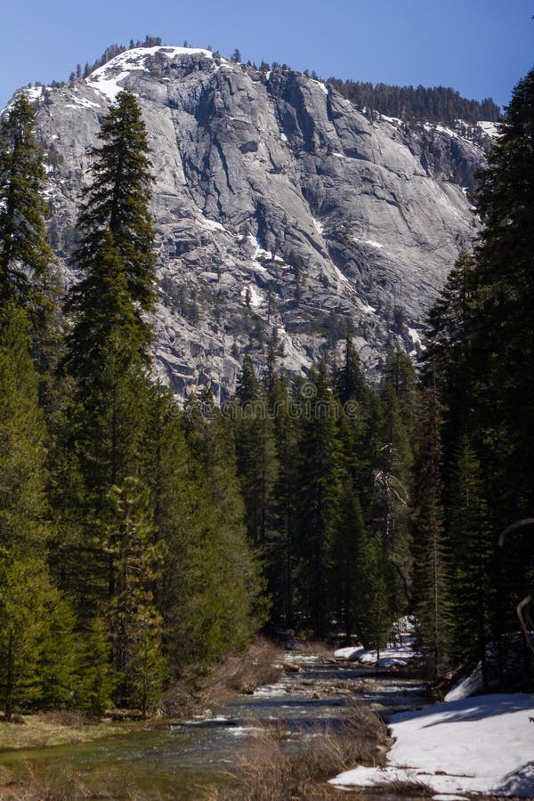 Sequoia National Park - Kaweah River Stock Photo - Image of forest ...