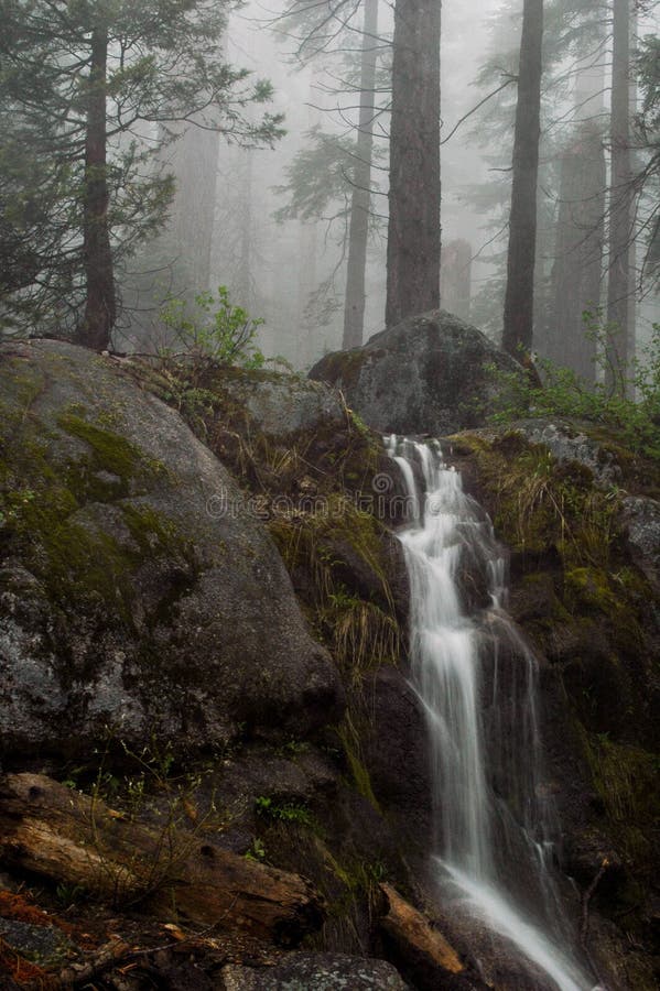 Sequoia waterfall stock photo. Image of cascade, flow - 49099452