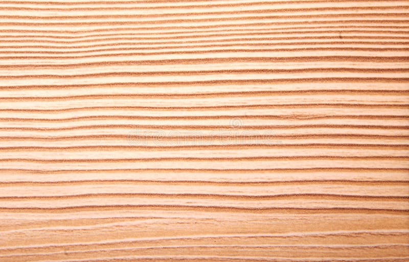 Sequoia.Fine Image Of Natural Wood Texture Background. Stock Photo ...
