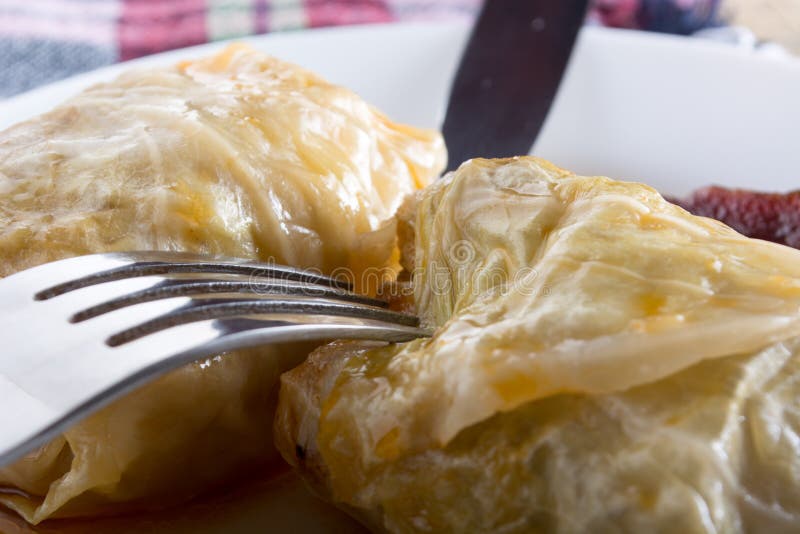 Serbian Dish Sarma Served in White Plate Stock Image - Image of rice ...