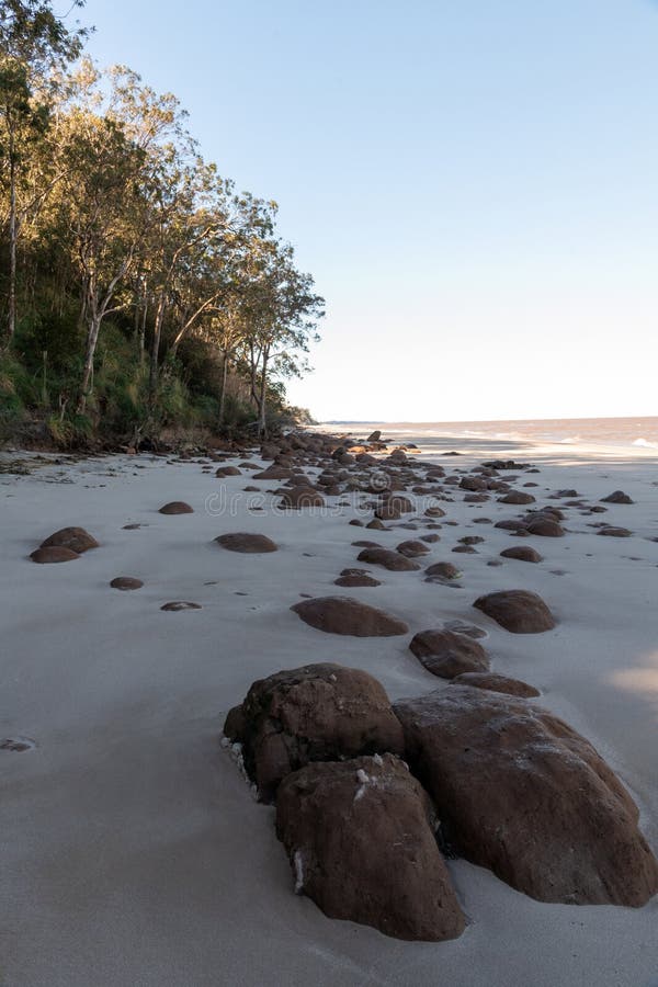 Serene Beach with Rocks, Clear Sky, and Lush Trees Along the Shore ...