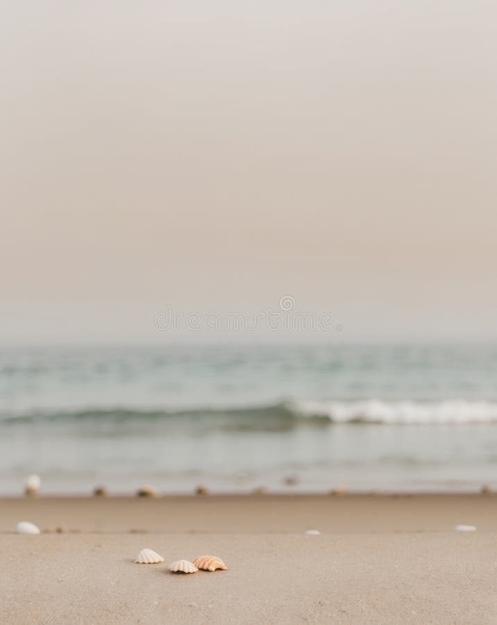 Serene Beach Scene with Soft Gradient Tones Stock Photo - Image of calm ...