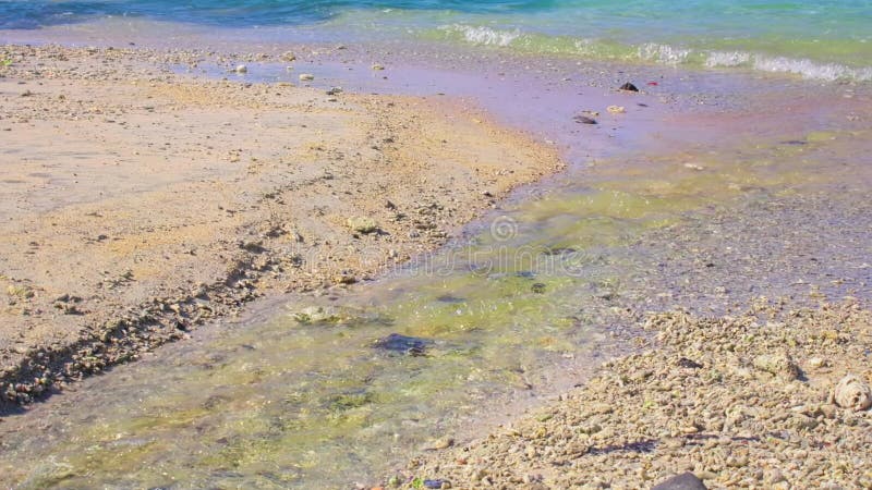Serene Beach with Stream Flowing into Ocean Stock Footage - Video of ...