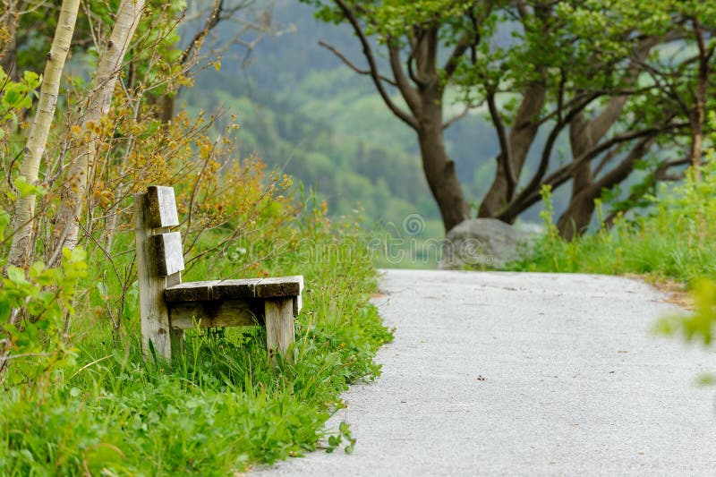 A Serene Bench on a Path stock image. Image of path - 300771753
