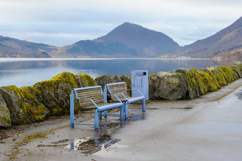 A Bench Next To a Body of Water Stock Photo - Image of tranquility ...