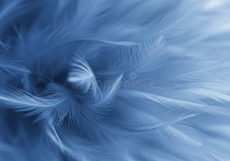 Serene Blue Feathers Abstract Background Soft Texture Light and Airy ...