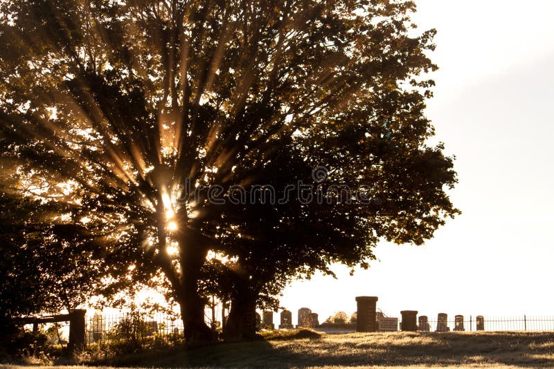 Serene cemetery at sunrise stock photo. Image of sunrise - 16737948