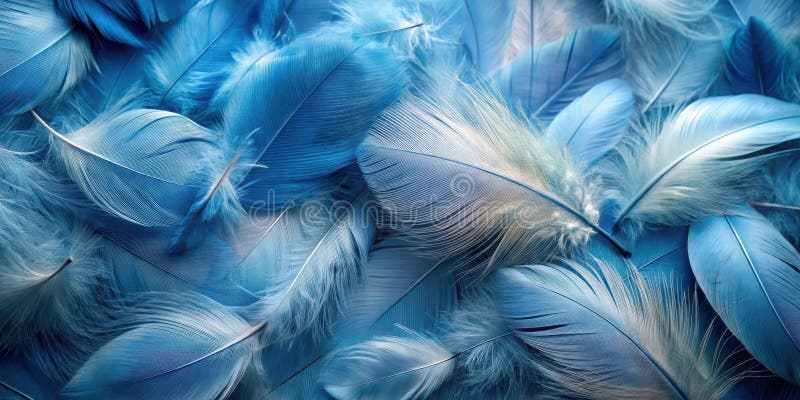 A Serene Collection of Delicate, Light Blue Bird Feathers, Softly ...