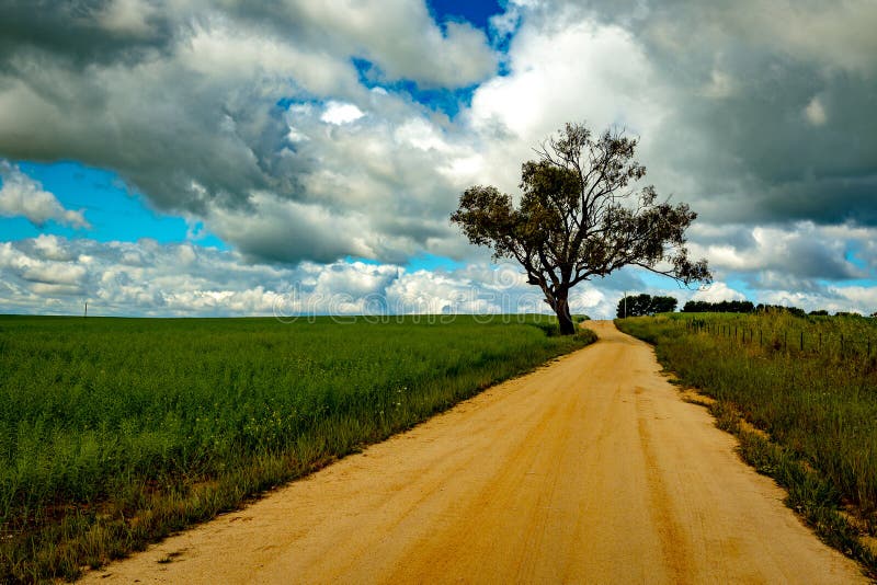 Serene Country Roadside stock image. Image of escape - 311952447