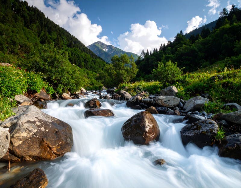 A Crystal-Clear Mountain Stream Flowing Over Smooth Rocks Surrounded by ...