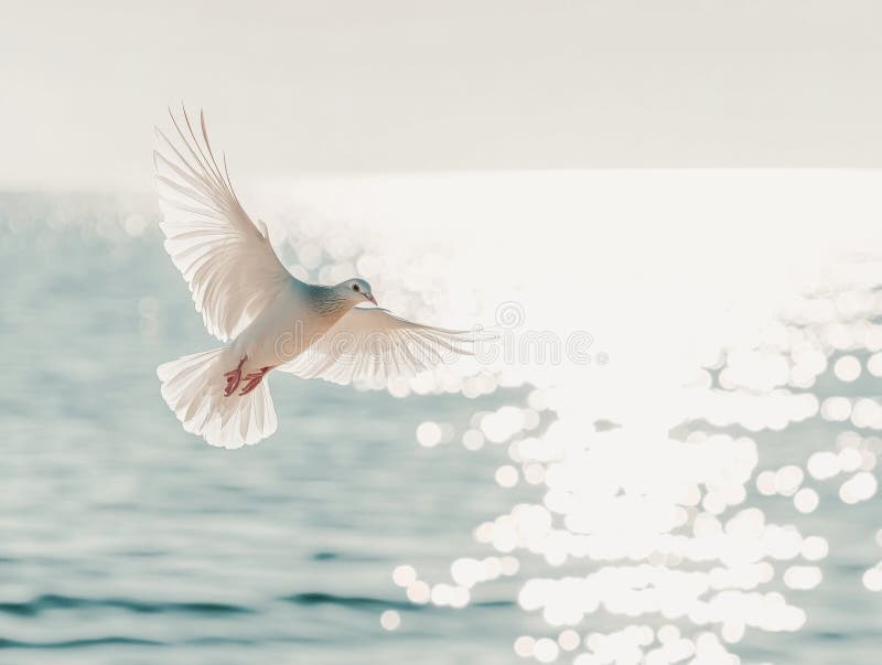 Serene Dove in Flight Over Sparkling Ocean on a Sunny Day Stock Image ...