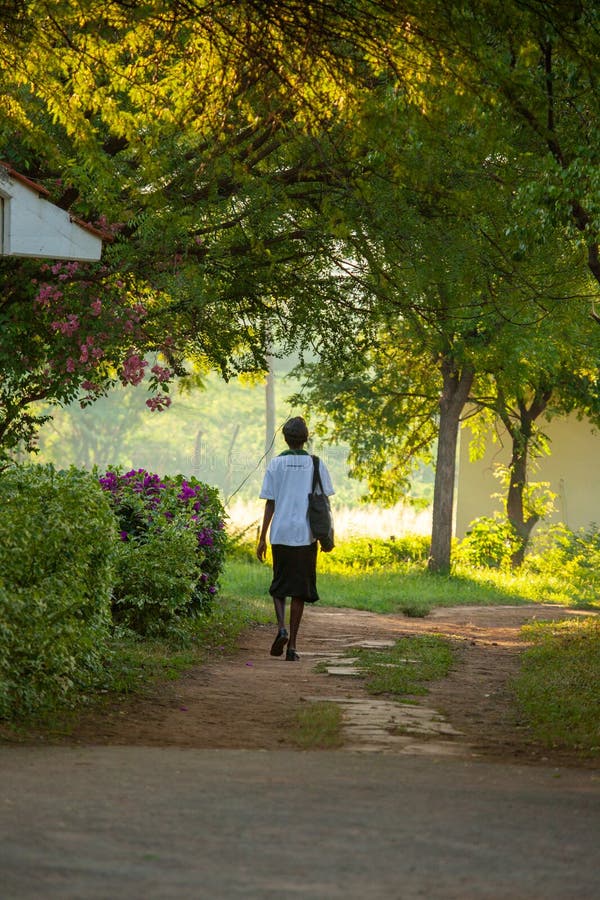 Woman Walking on a Peaceful Pathway Stock Image - Image of reflection ...