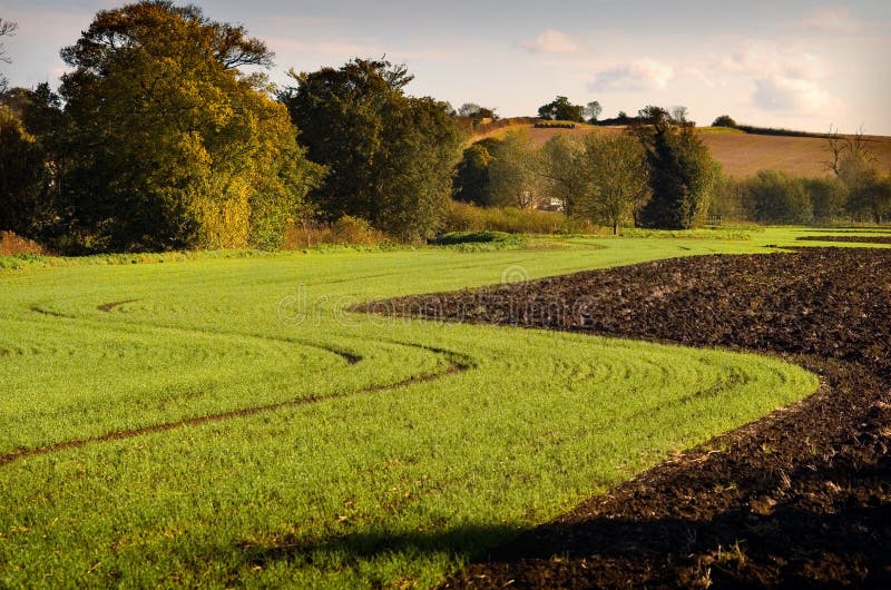 Serene English Autumn Scene Stock Image - Image of farm, shine: 1333157