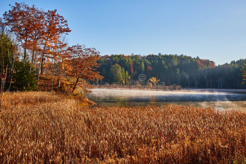 Serene Foggy River in Michigan in Late Fall with Lightly Colored Trees ...
