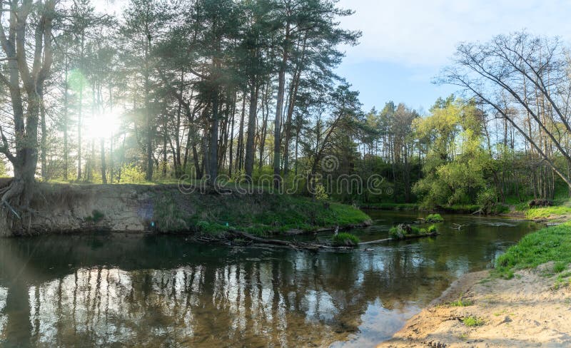 A Serene Forest River Flows Gently through a Lush Landscape ...
