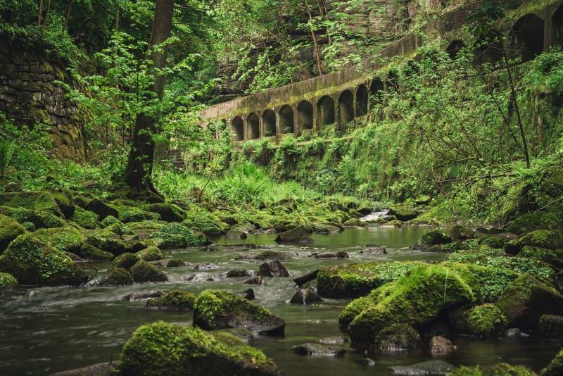 Mossy Stream and Stone Arches in Forest Stock Image - Image of forest ...