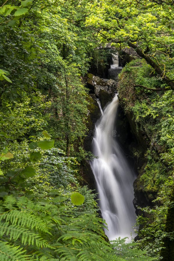 Serene Forest Setting with a Charming Waterfall Stock Photo - Image of ...