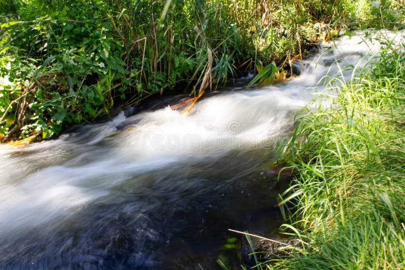 Gentle Stream Flows Rocky Forest Landscape Smooth Stones Stock Photos ...