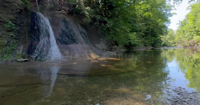 Serene Forest Waterfall Flows Gently into a Clear, Reflective Stream ...