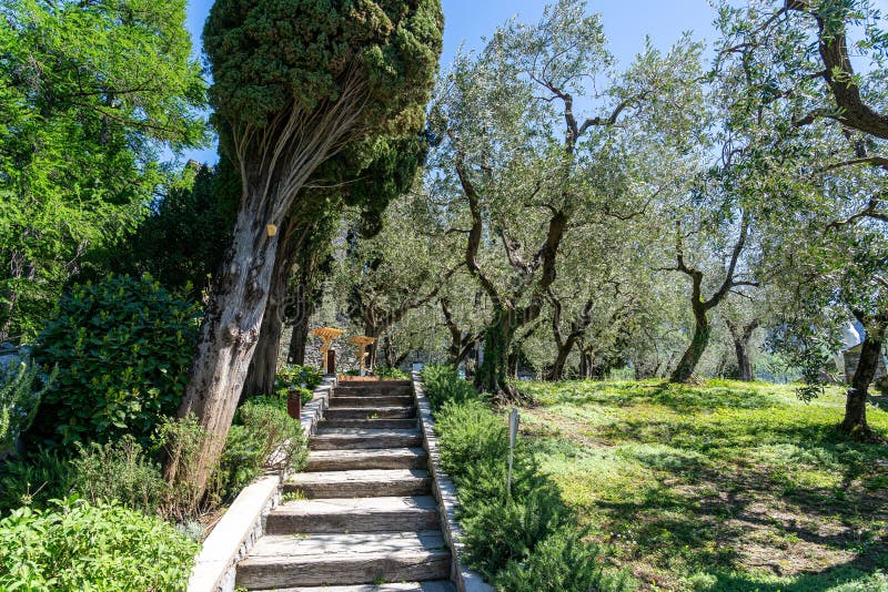 Serene Garden Pathway through Stone Archway Adorned with Lush Greenery ...