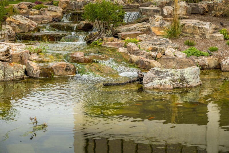 Serene Garden Pond with Cascading Waterfalls Stock Image - Image of ...