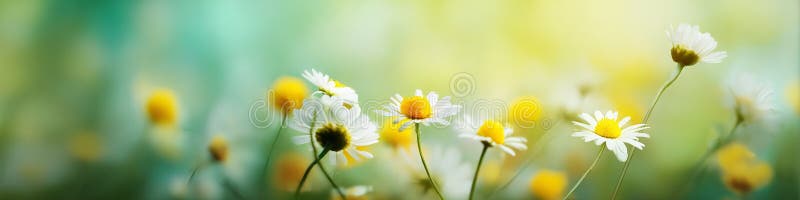 A Serene and Hyper-realistic Spring Meadow Scene Featuring Delicate ...
