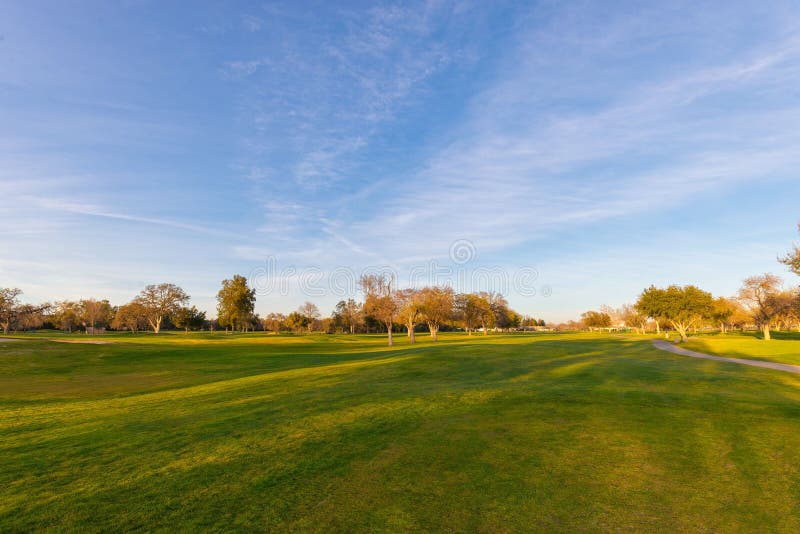 An Empty Green Golf Course with Trees and Grass in the Background Stock ...