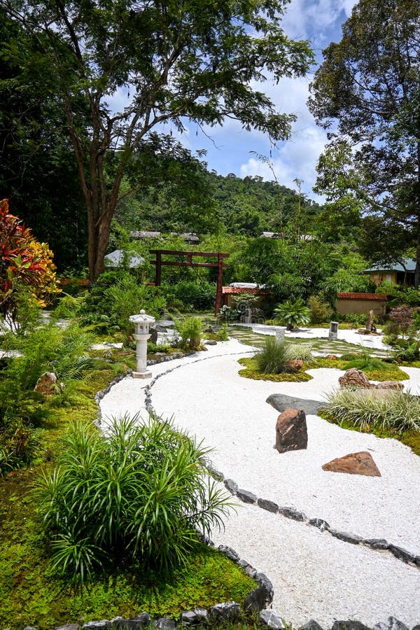 Scenic Pathway Lush Greenery Trees Serene Landscaping Design Elements ...