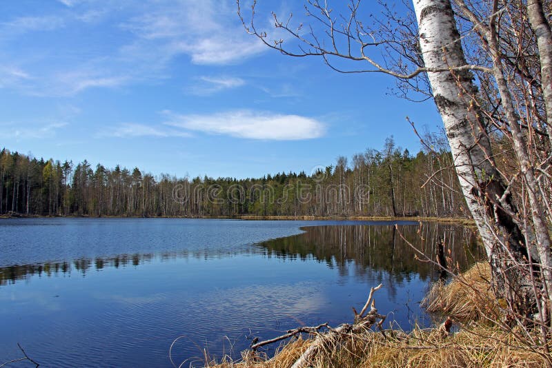 Serene Lake Scenery in Finland Stock Photo - Image of finland, scenic ...