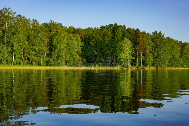 A Serene Lakeside Scene Reflecting Lush Green Trees and a Clear Blue ...