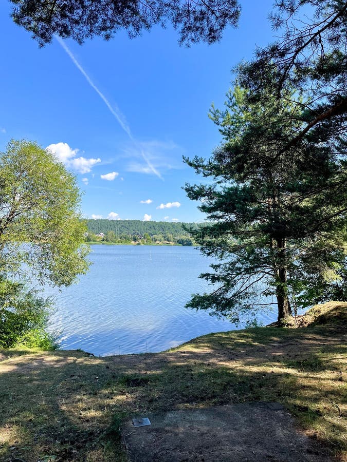 Serene Lakeside View Framed by Trees with a Clear Blue Sky on a Sunny ...