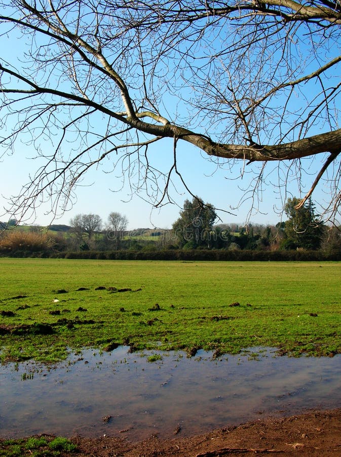 Serene landscape stock photo. Image of rest, serene, forest - 7240658