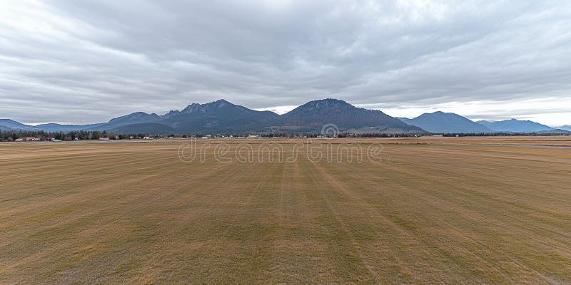 Serene Landscape Expansive Field with Mountain Range Background Under ...