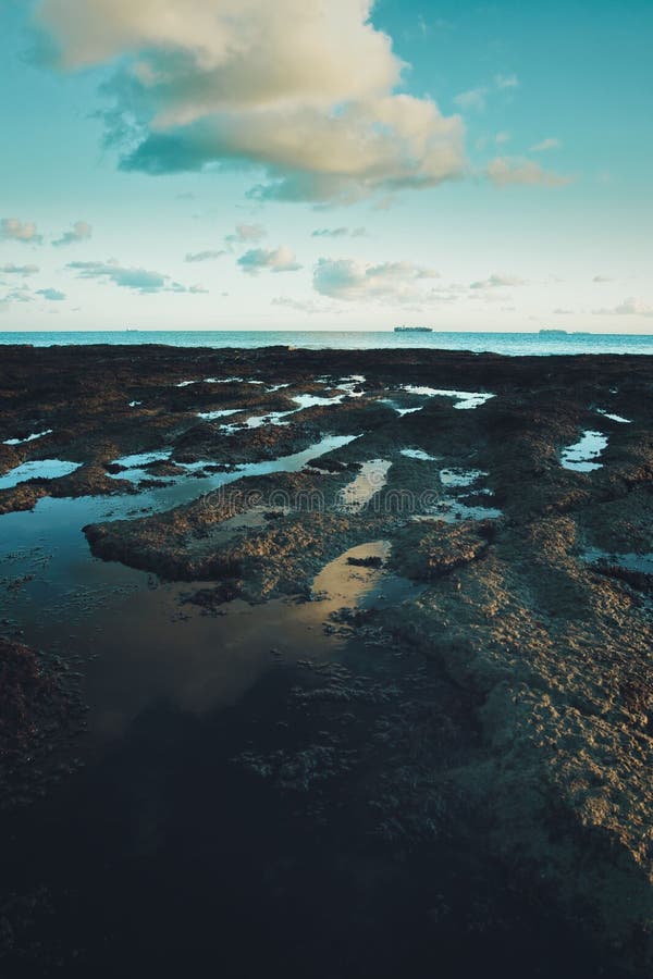 A Field with Mud and a Small Puddle on the Ground Stock Photo - Image ...