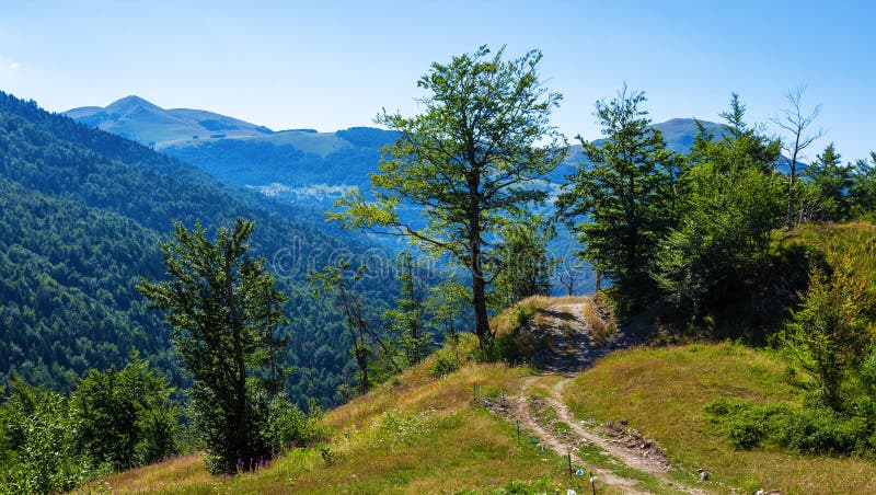 Rural road in mountains stock image. Image of park, outdoor - 112253201