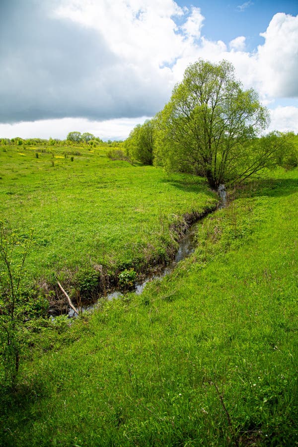 A Serene Landscape with a Stream, Greenery, and Clouds Creates a ...